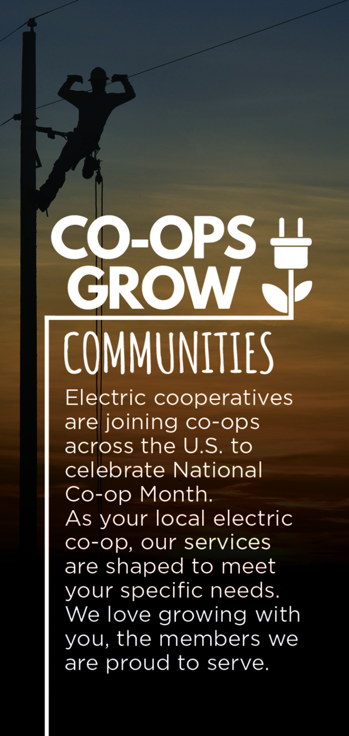 Electric co-ops grow for the communities they serve | Steele Waseca Co ...
